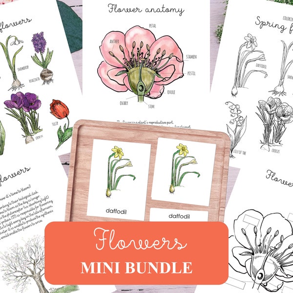 Spring Unit Study - Etsy