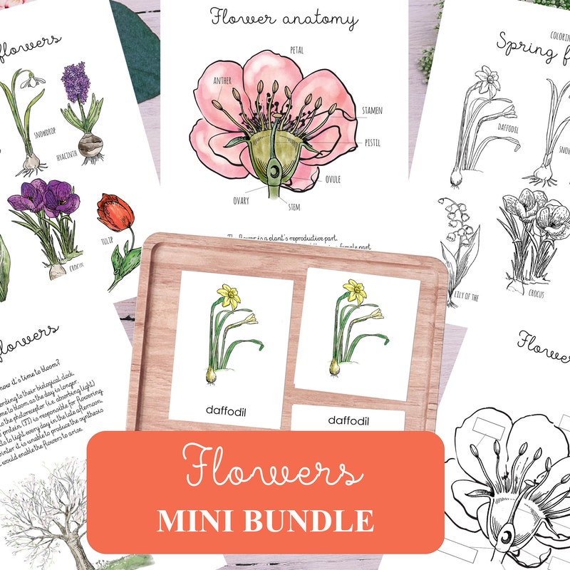 Spring Unit Study - Etsy