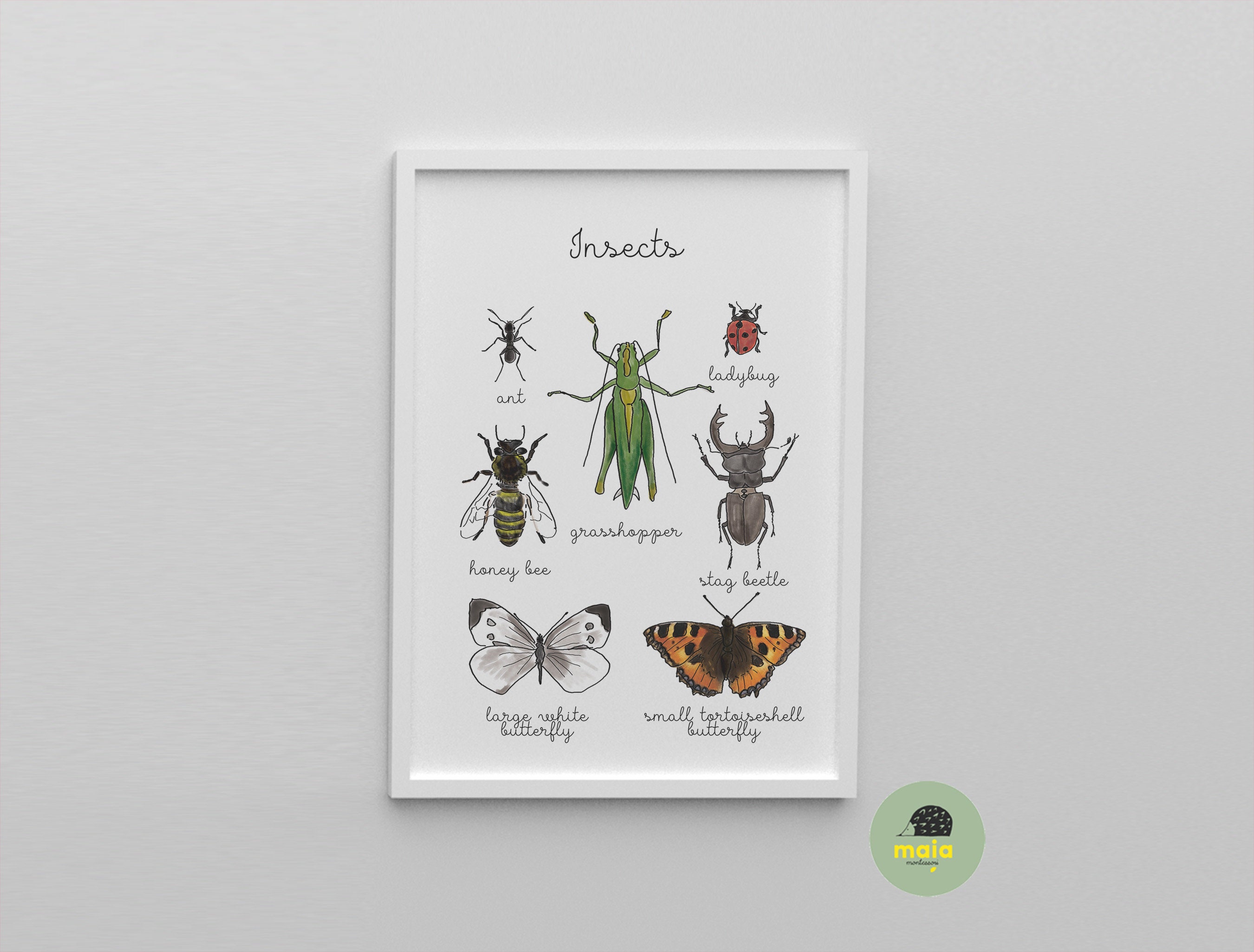 Insects Poster, Bugs Print, Minibeast Illustration, Printable Wall Art ...