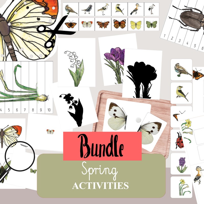 Montessori Activity - Etsy