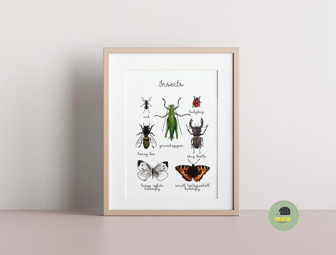 Insects Poster, Bugs Print, Minibeast Illustration, Printable Wall Art ...
