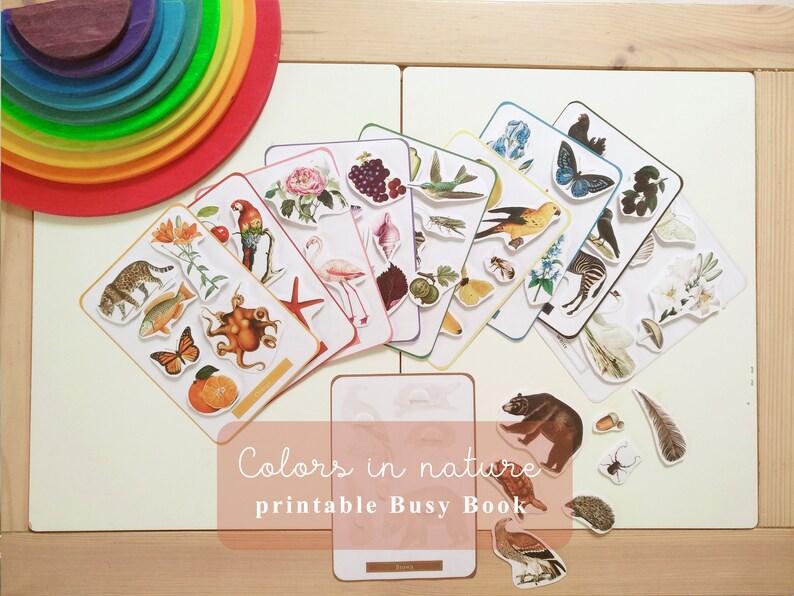 Colors Busy Book Color Matching Nature Quiet Book Color - Etsy