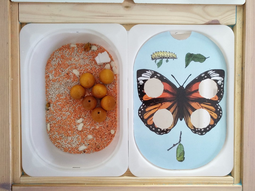 Butterfly Flisat Insert, PRINTABLE Toddler Activity, Minibeast Insert ...