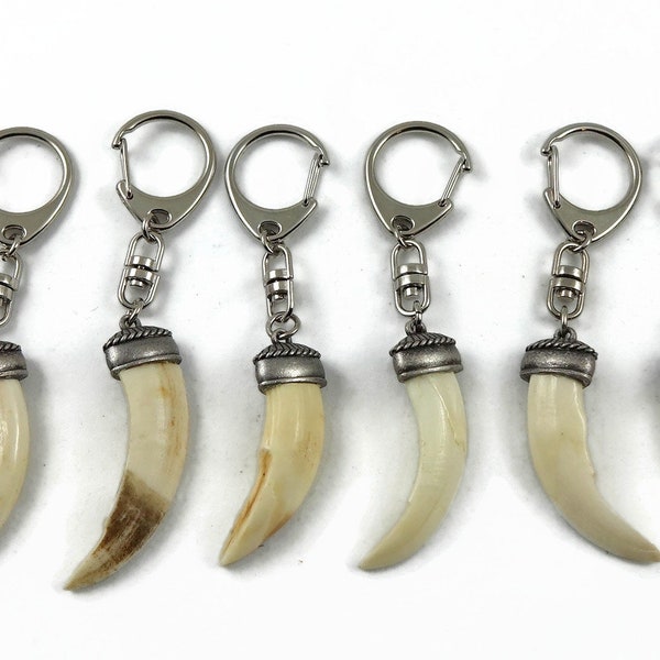 Wild Boar Teeth - Etsy