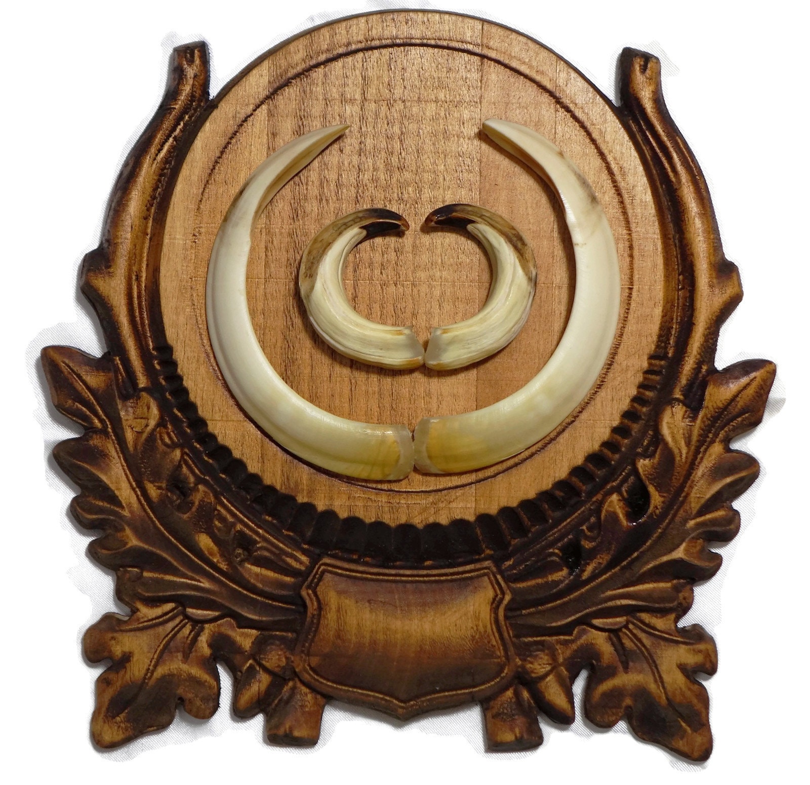 Wooden Base Trophy Shield Mounting Plaque for Wild Boar Tusks Handmade ...