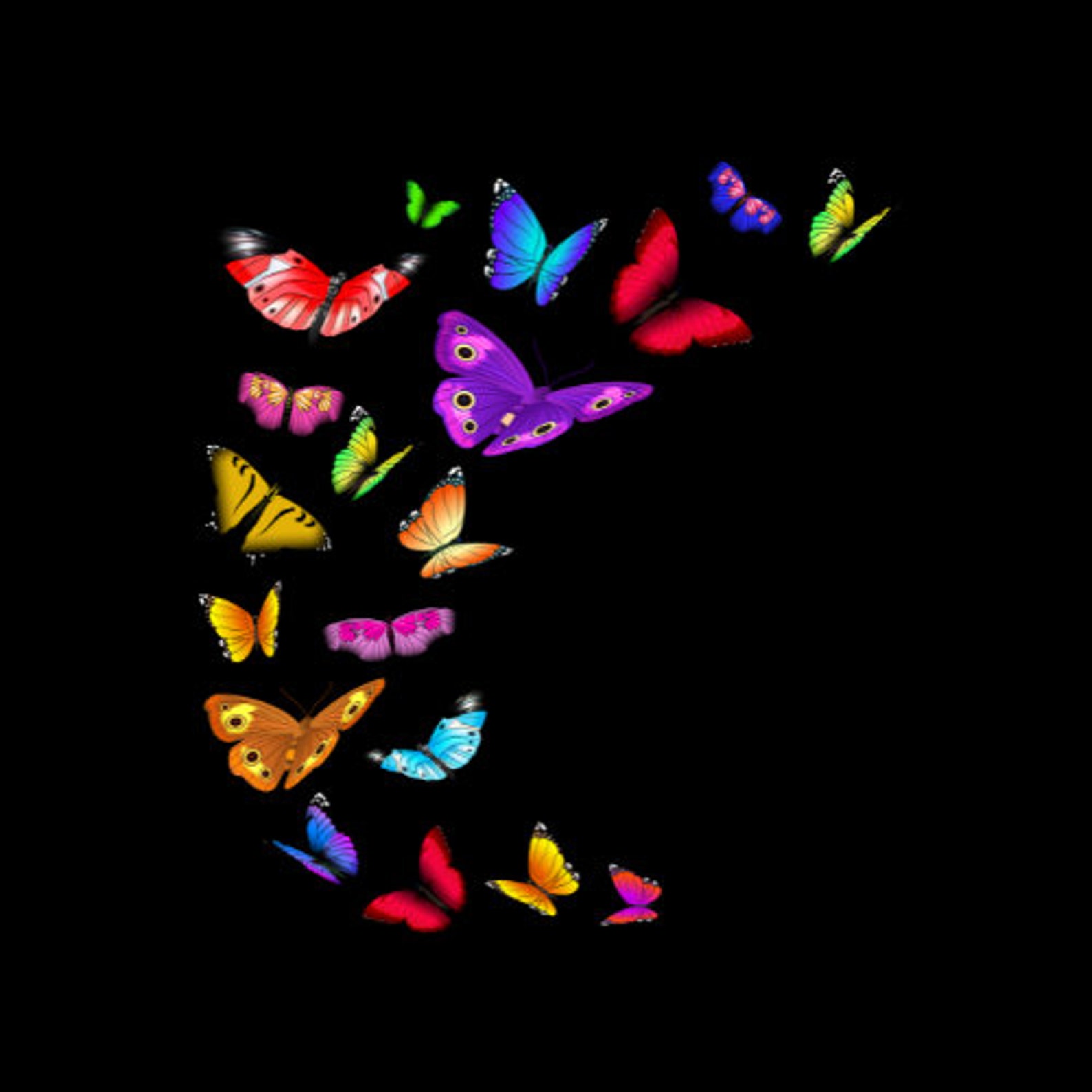Colourful Flying Butterfly Design PNG JPG With Transparent Background ...