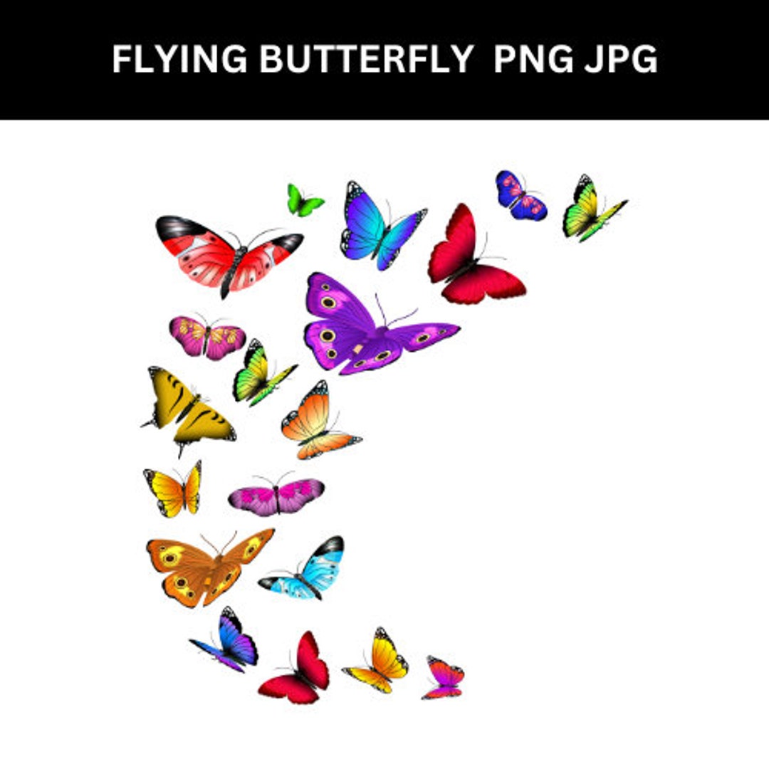 Colourful Flying Butterfly Design PNG JPG With Transparent - Etsy