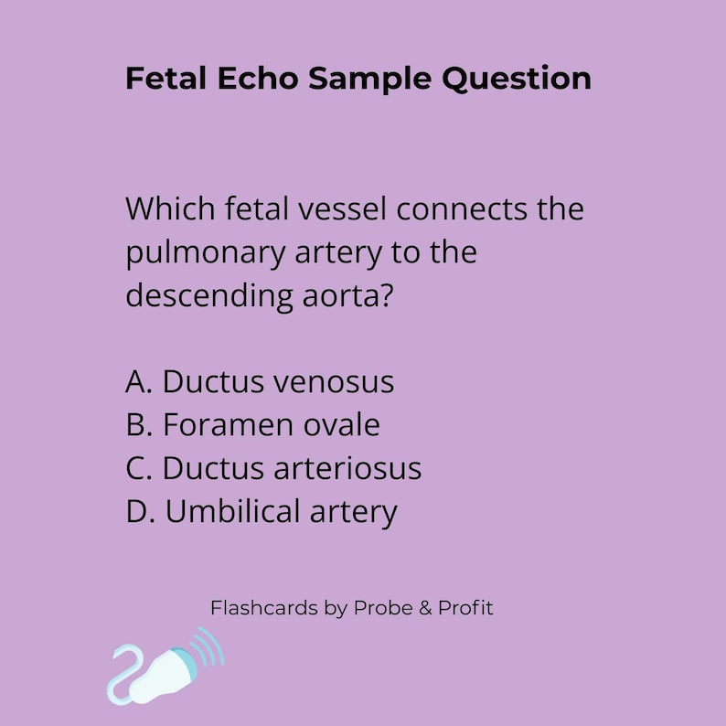 Fetal Echo Exam Prep Flashcards | 300 ARDMS FE Practice Questions ...
