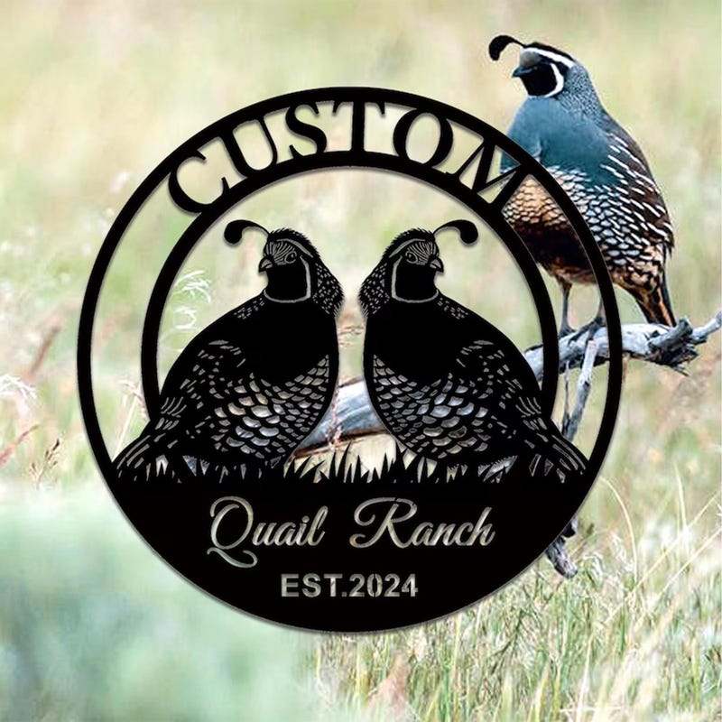 Quail Art - Etsy