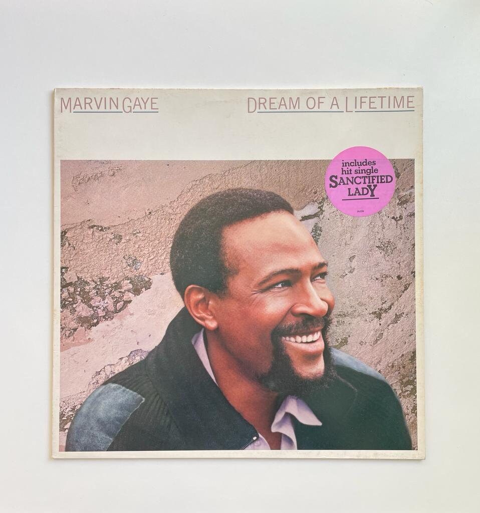 Marvin Gaye In Our Lifetime