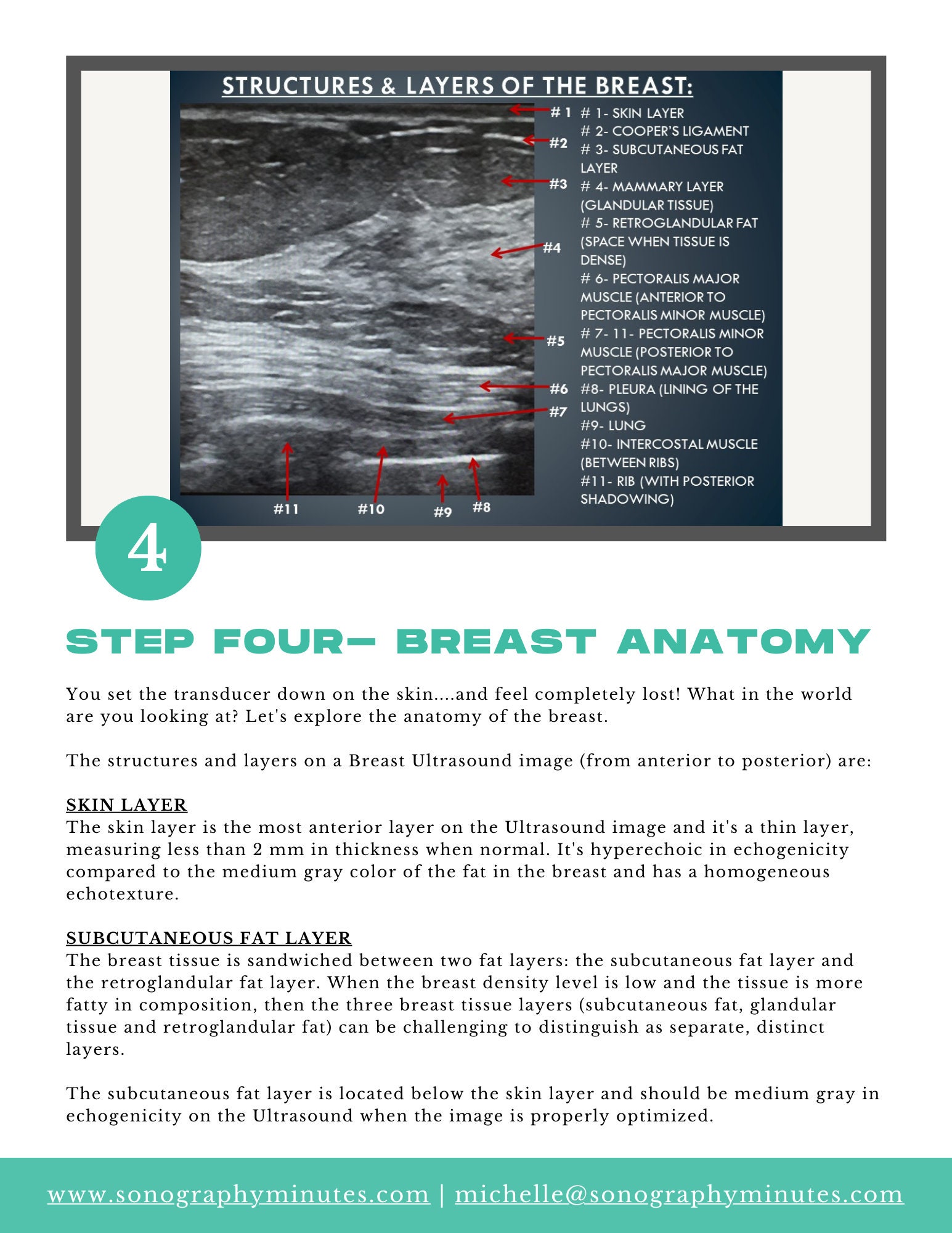 The Beginner S Guide To Breast Ultrasound Digital Ebook Etsy