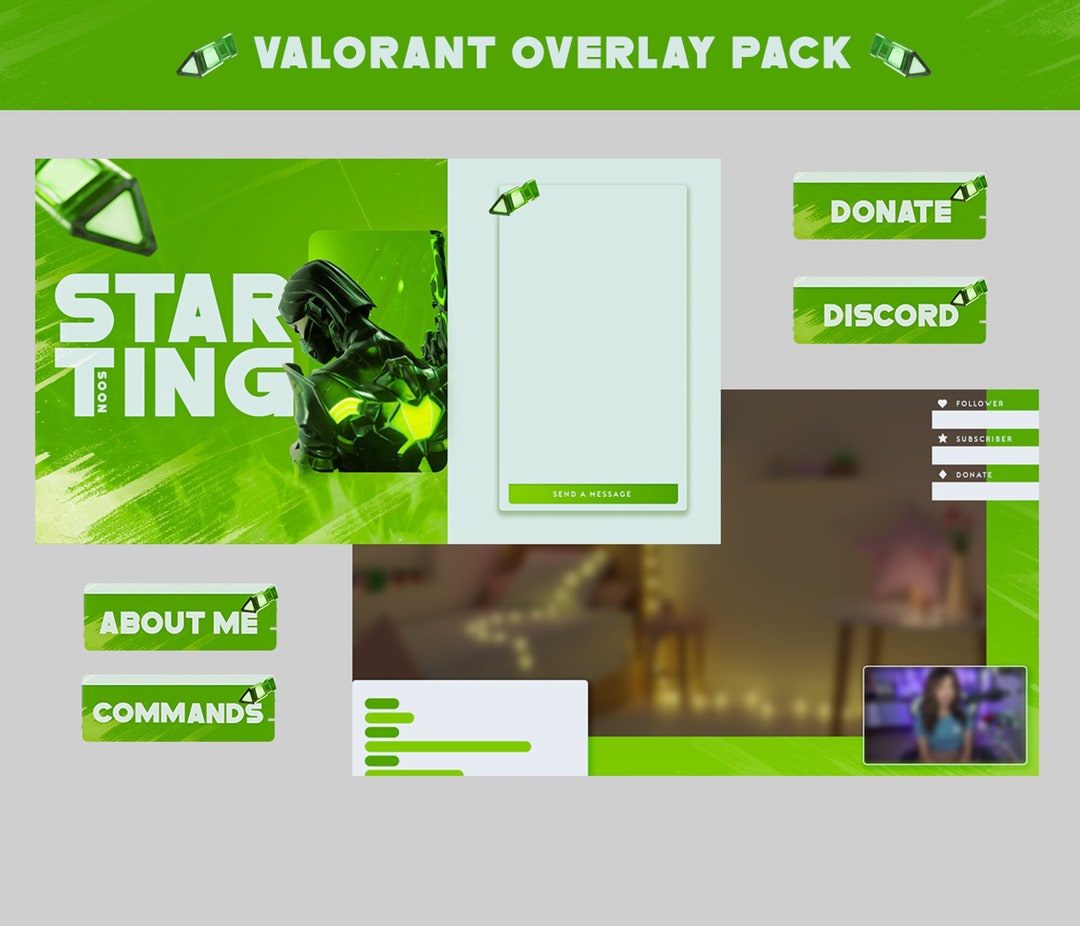 Valorant Twitch Overlay Package - Viper - Etsy