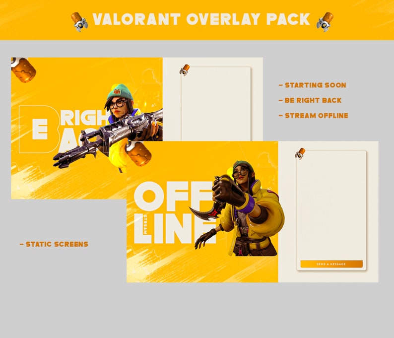 Valorant Twitch Overlay Package - Killjoy - Etsy