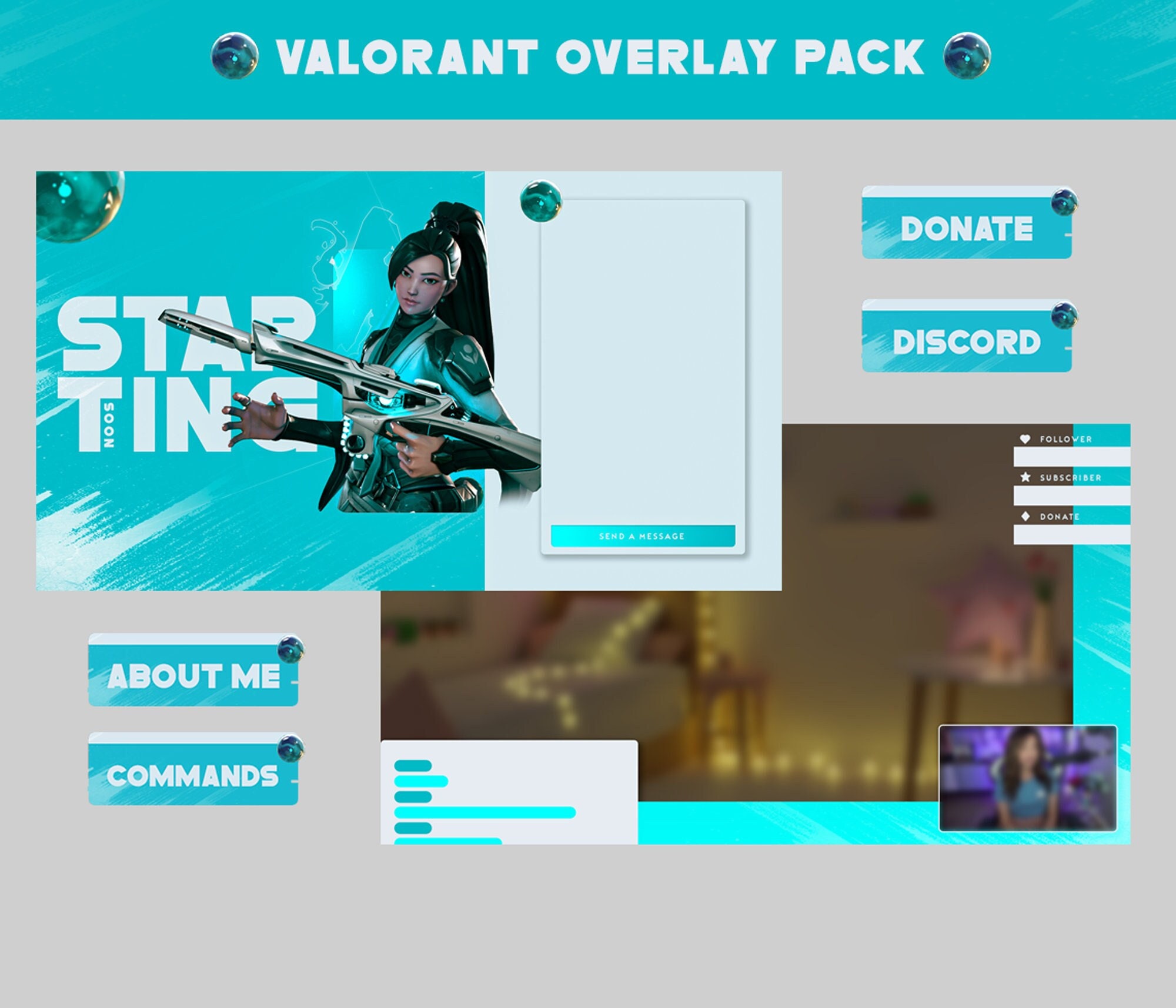 Valorant Twitch Overlay Package - Sage - Etsy