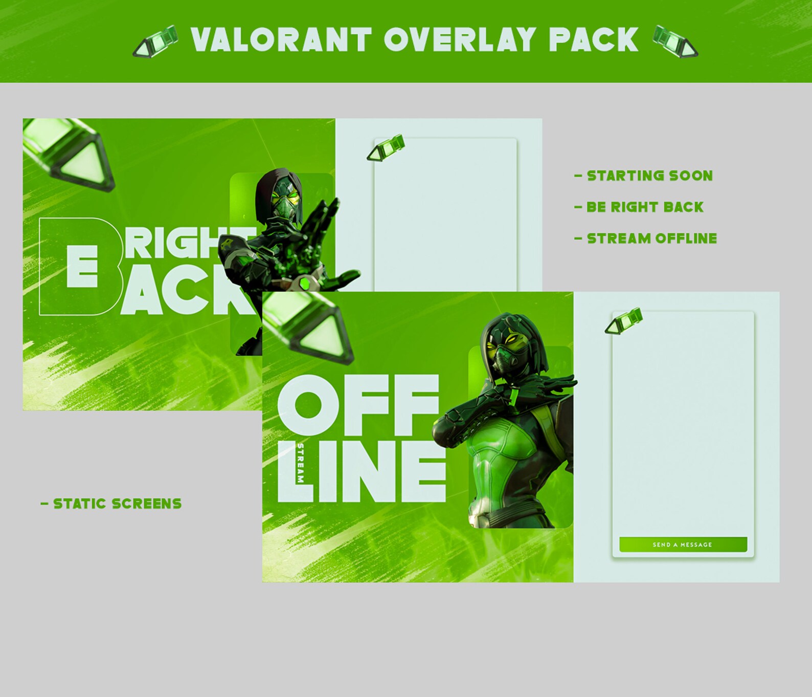 Valorant Twitch Overlay Package - Viper - Etsy