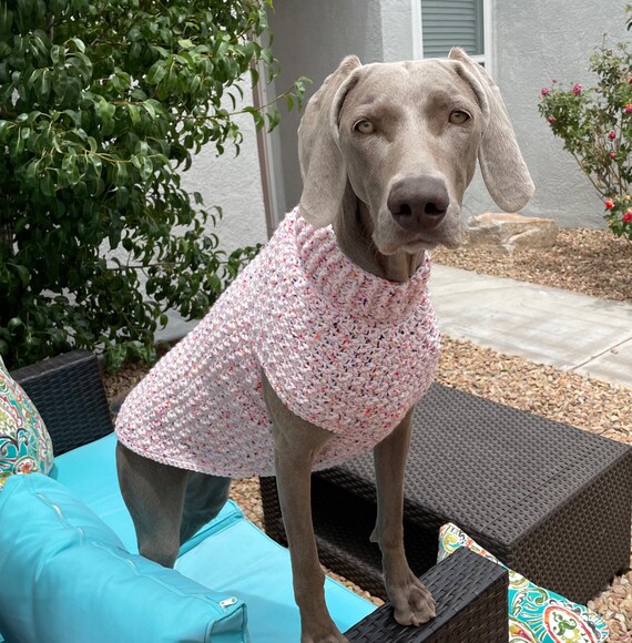 Custom Dog Sweater - Etsy