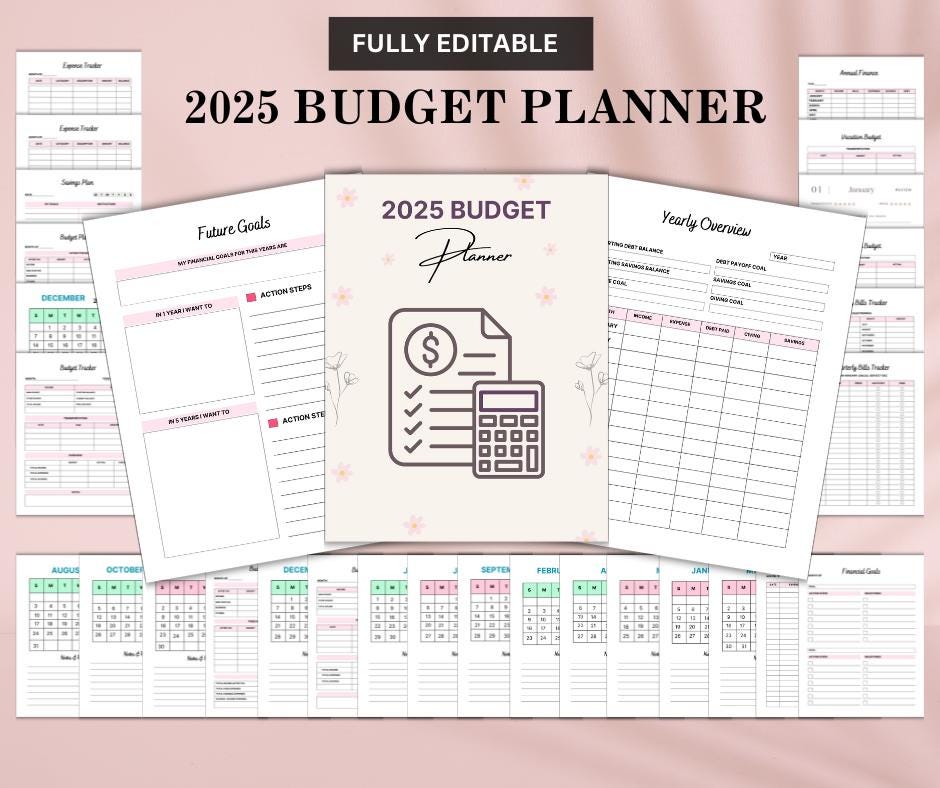 2025 Budget Planner Editable Financial Organizer to Track Income ...