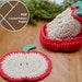 Apple Slices Coaster Set Crochet Pattern, PDF for Instant Download - Etsy