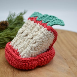Apple Slices Coaster Set Crochet Pattern, PDF for Instant Download - Etsy