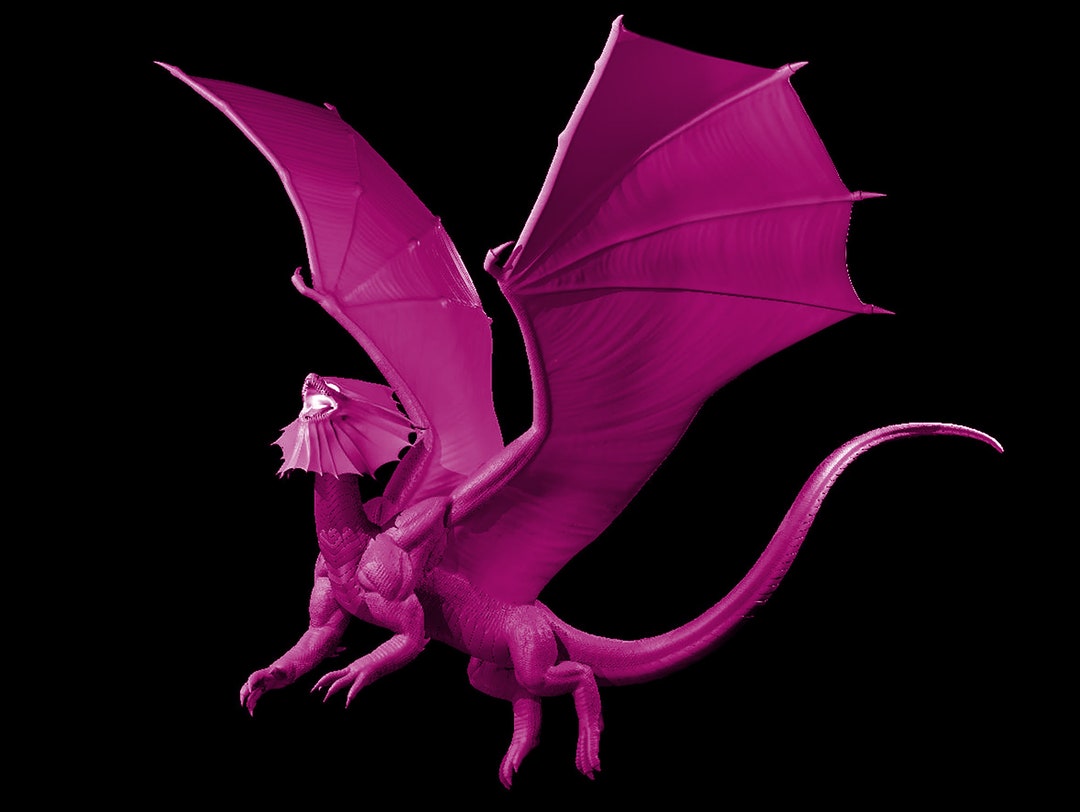 Dragonborn of Sardior 3D Printed to Order, Free Shipping - Etsy