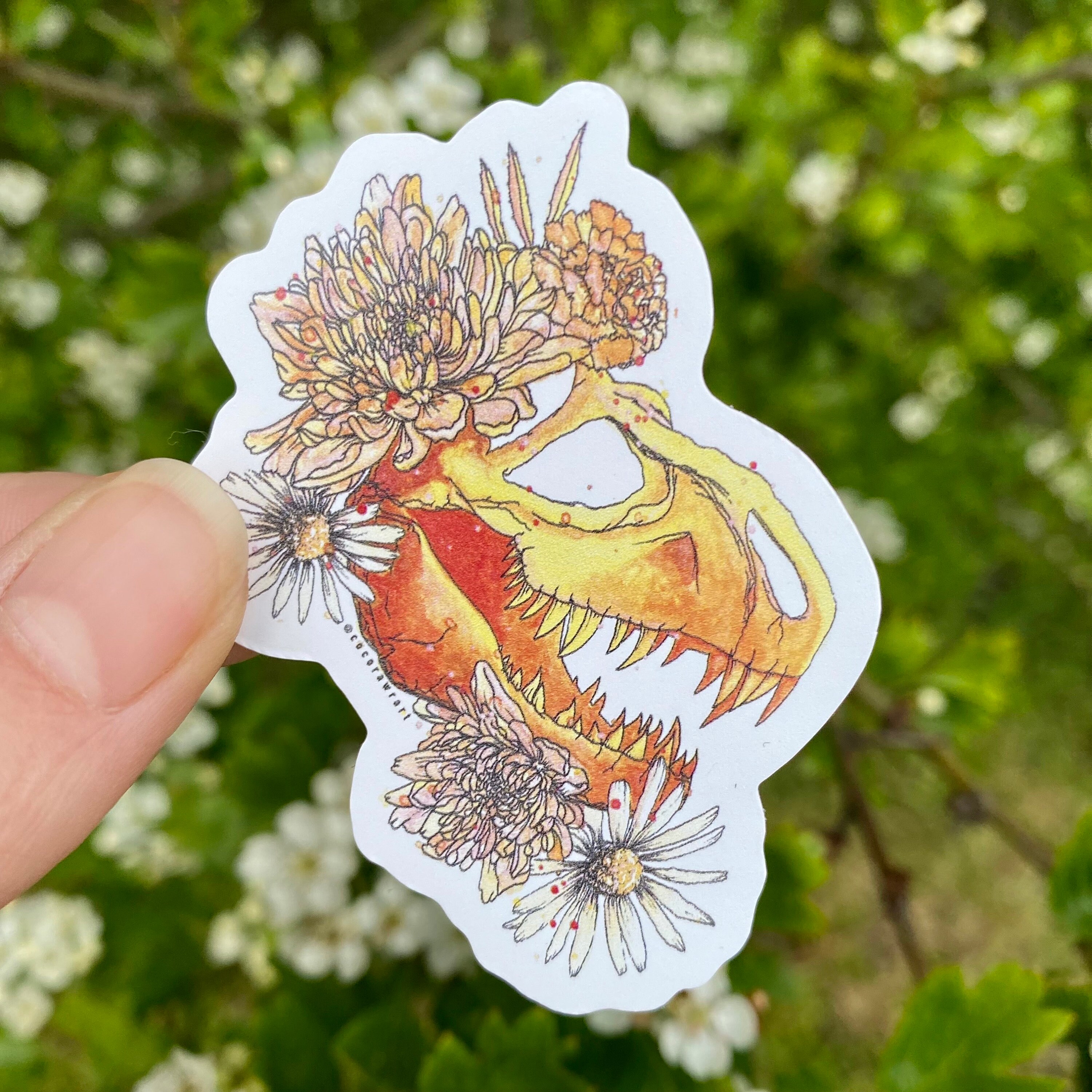 T Rex Colourful Watercolour Sticker, Water Bottle Vinyl Decal, Dinosaur ...