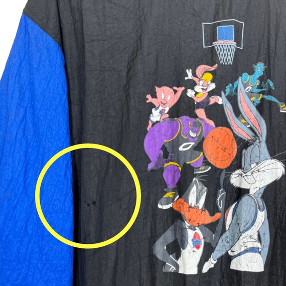 Vintage Warner Bros Space Jam Characters Zip Up Windb… - Gem