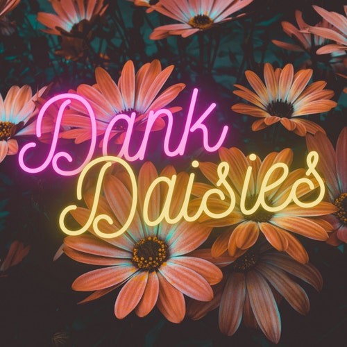 DankDaisies - Etsy