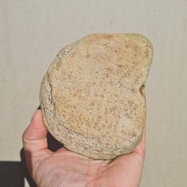 Flat River Stones - Etsy