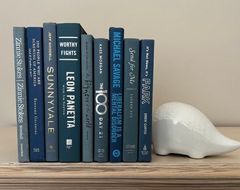 Blue Book Stack - Etsy