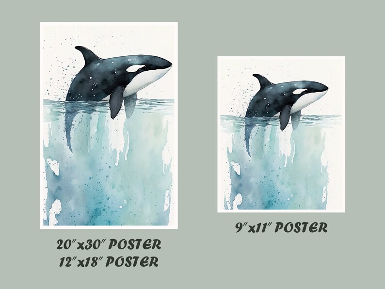 Orca Wall Art, Ocean Theme Decor, Killer Whale Watercolor Ocean Animal ...