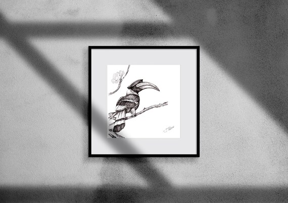 Hand Drawing Bird Calao Graphic Illustration Black and White | Etsy