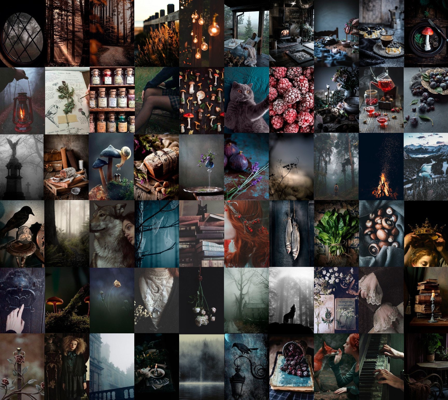 Dark Cottagecore Wall Collage Kit Room Decor Aesthetic Witch Collage ...