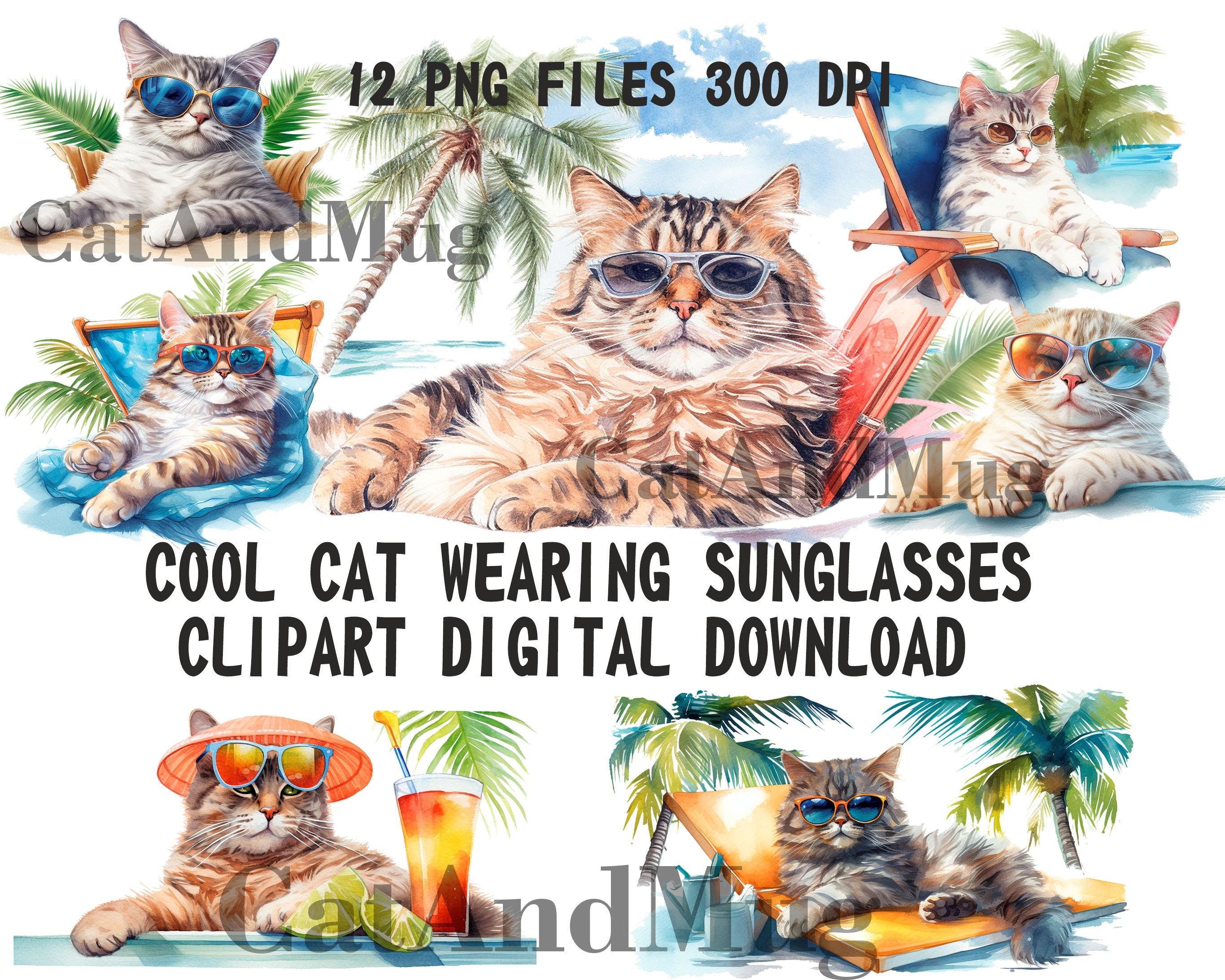 Cool Cat in Sunglasses PNG Set of 12 Pcs Watercolor Clipart Transparent ...