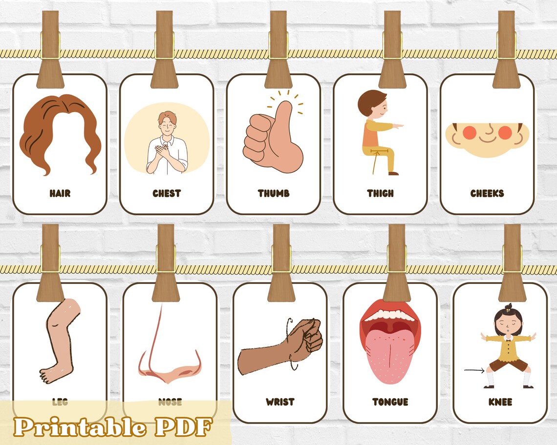 Parts of the Body, Body Parts for Kids, Human Body Preschool, Kids ...