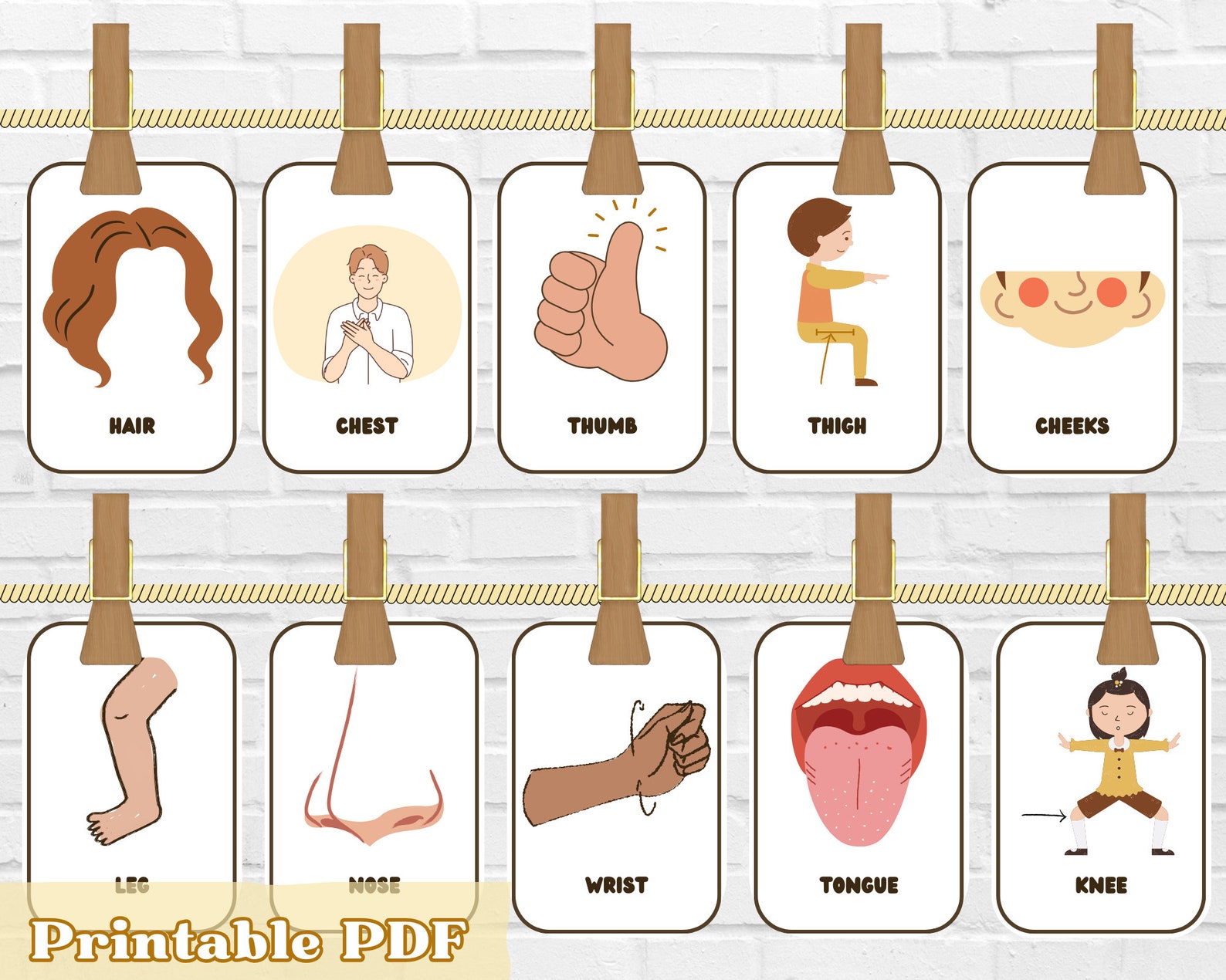 Parts of the Body, Body Parts for Kids, Human Body Preschool, Kids ...