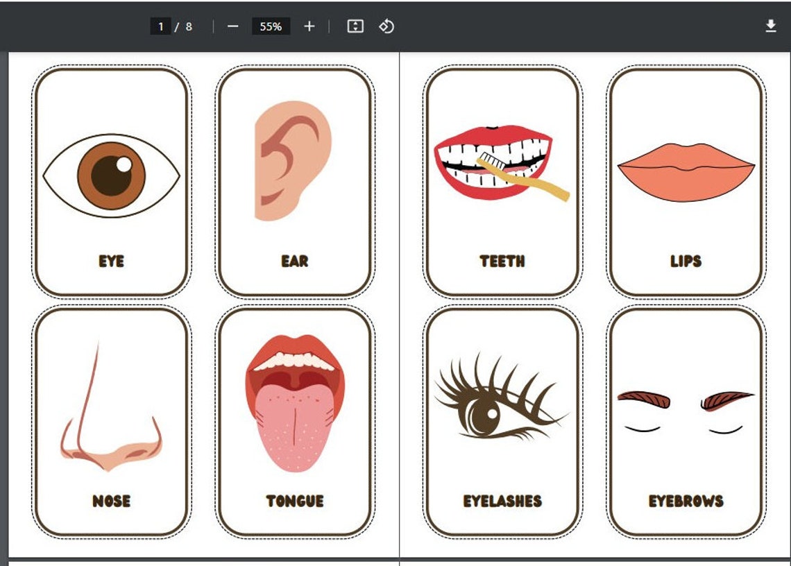 Parts of the Body, Body Parts for Kids, Human Body Preschool, Kids ...