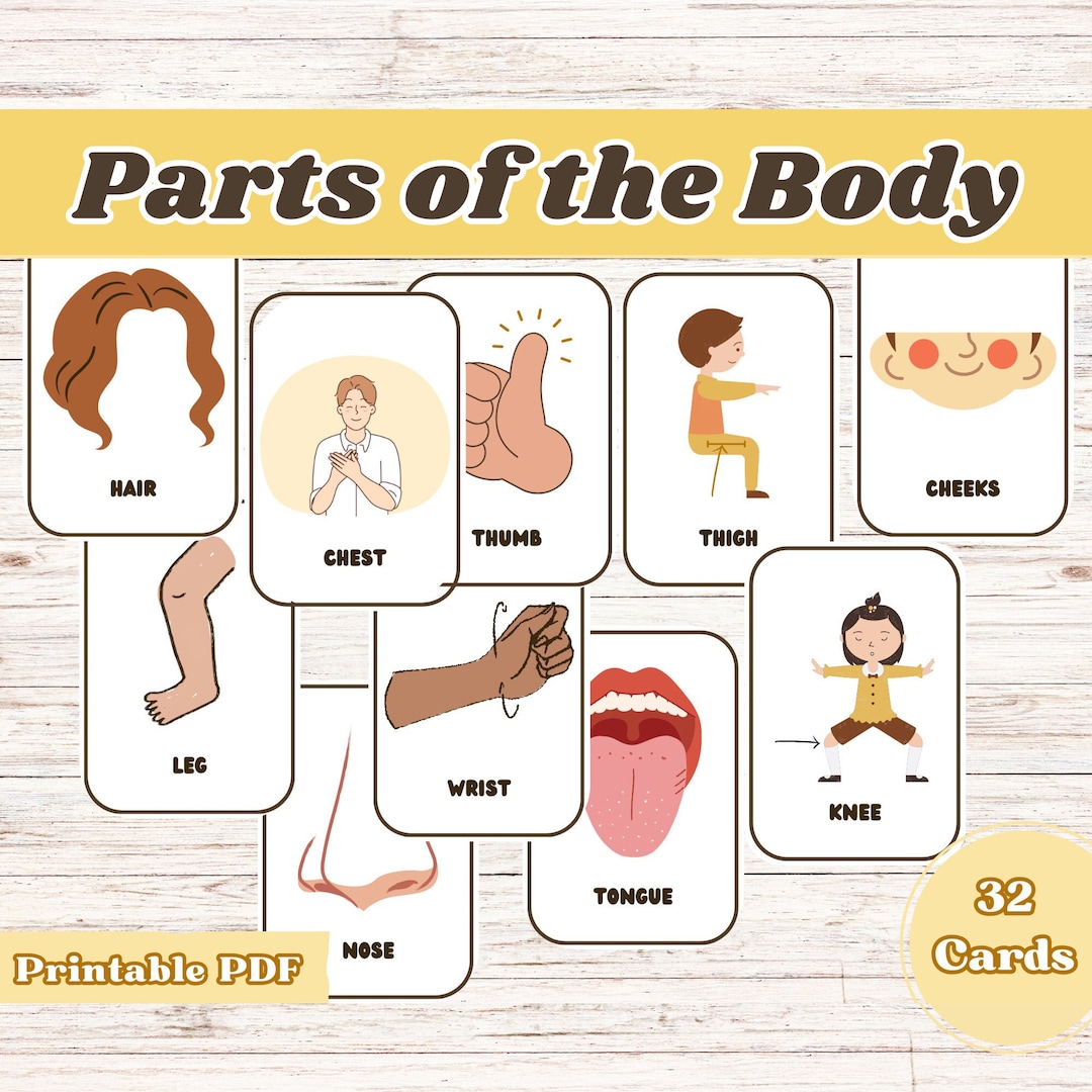 Parts of the Body, Body Parts for Kids, Human Body Preschool, Kids ...