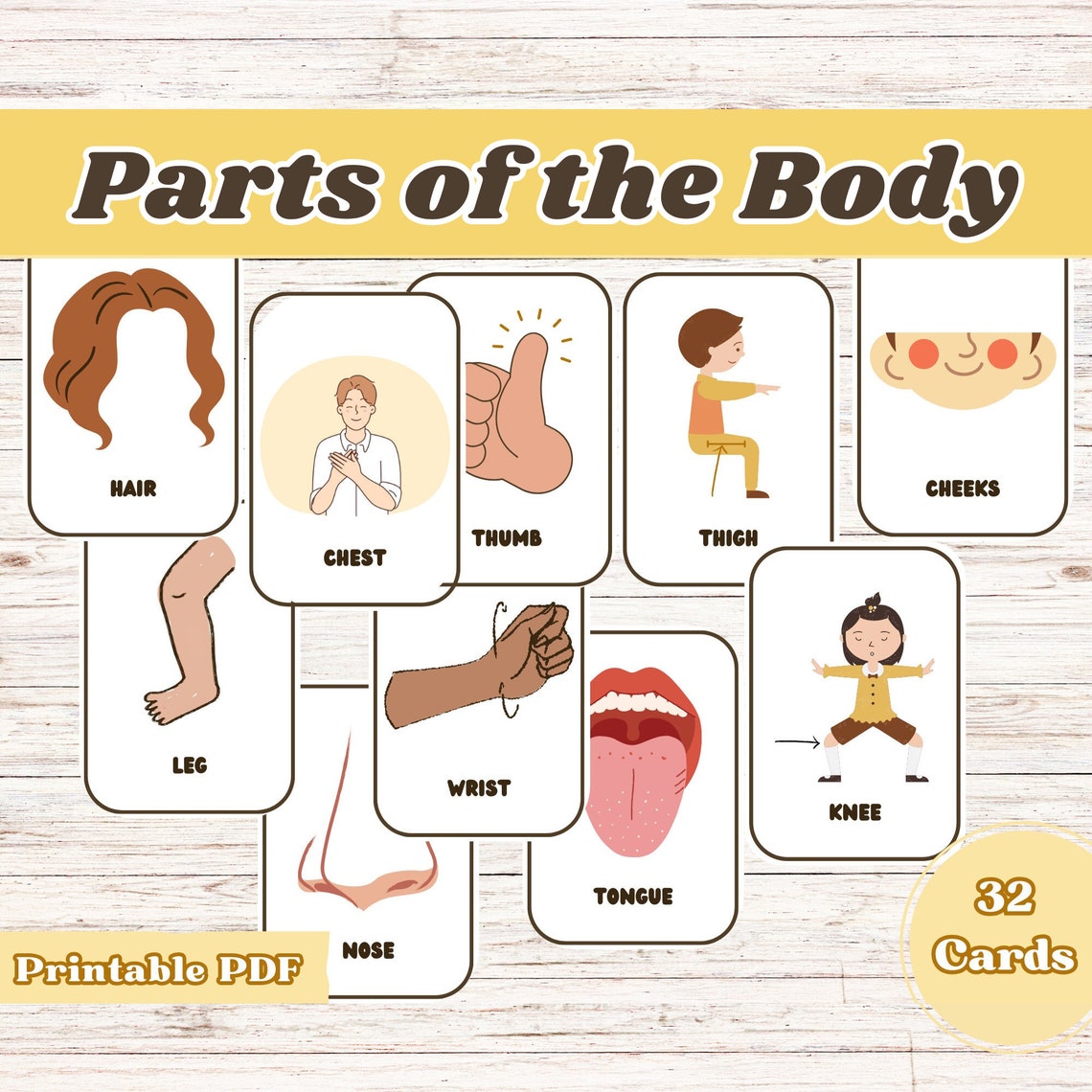 Parts of the Body, Body Parts for Kids, Human Body Preschool, Kids ...