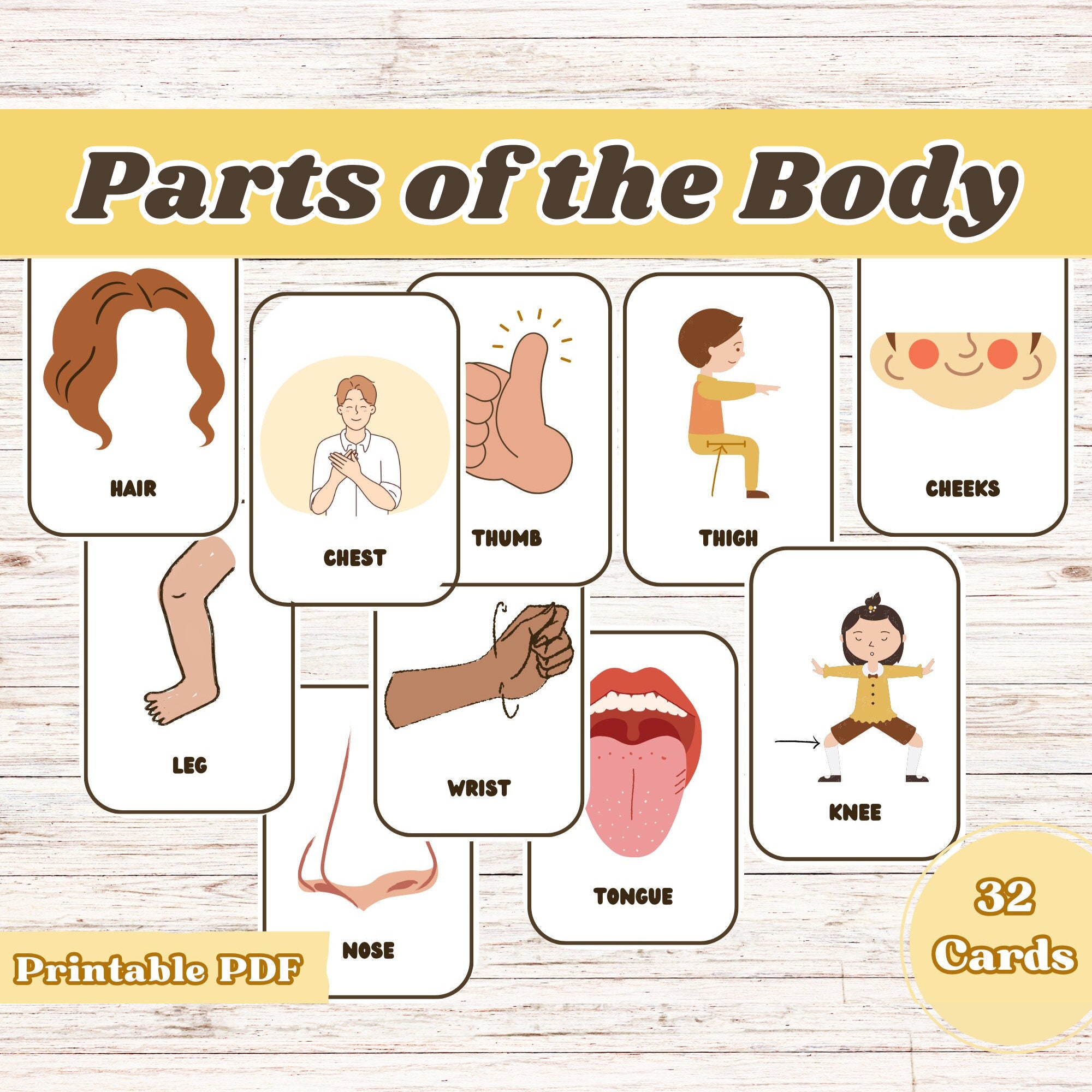 Parts of the Body, Body Parts for Kids, Human Body Preschool, Kids ...