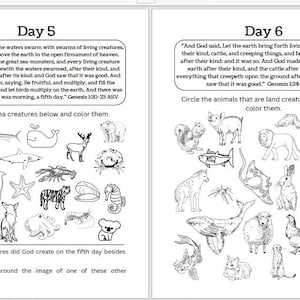 Days of Creation, Bible Activity Pages, Kids Bible Lessons, Kids Bible ...