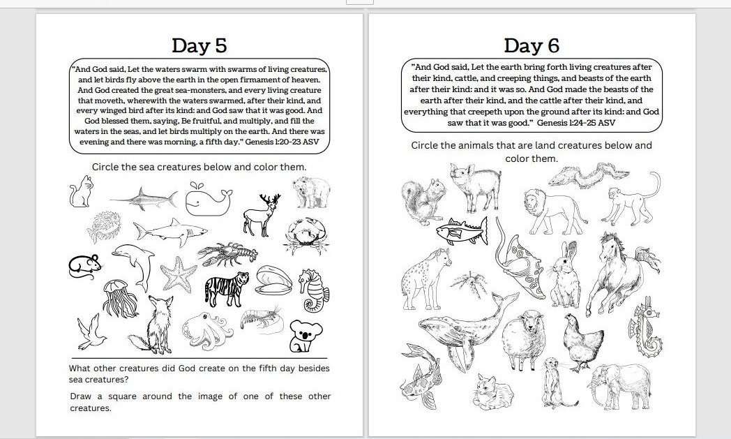 Days of Creation, Bible Activity Pages, Kids Bible Lessons, Kids Bible ...