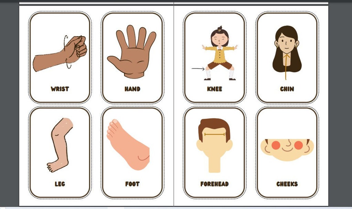 Parts of the Body, Body Parts for Kids, Human Body Preschool, Kids ...