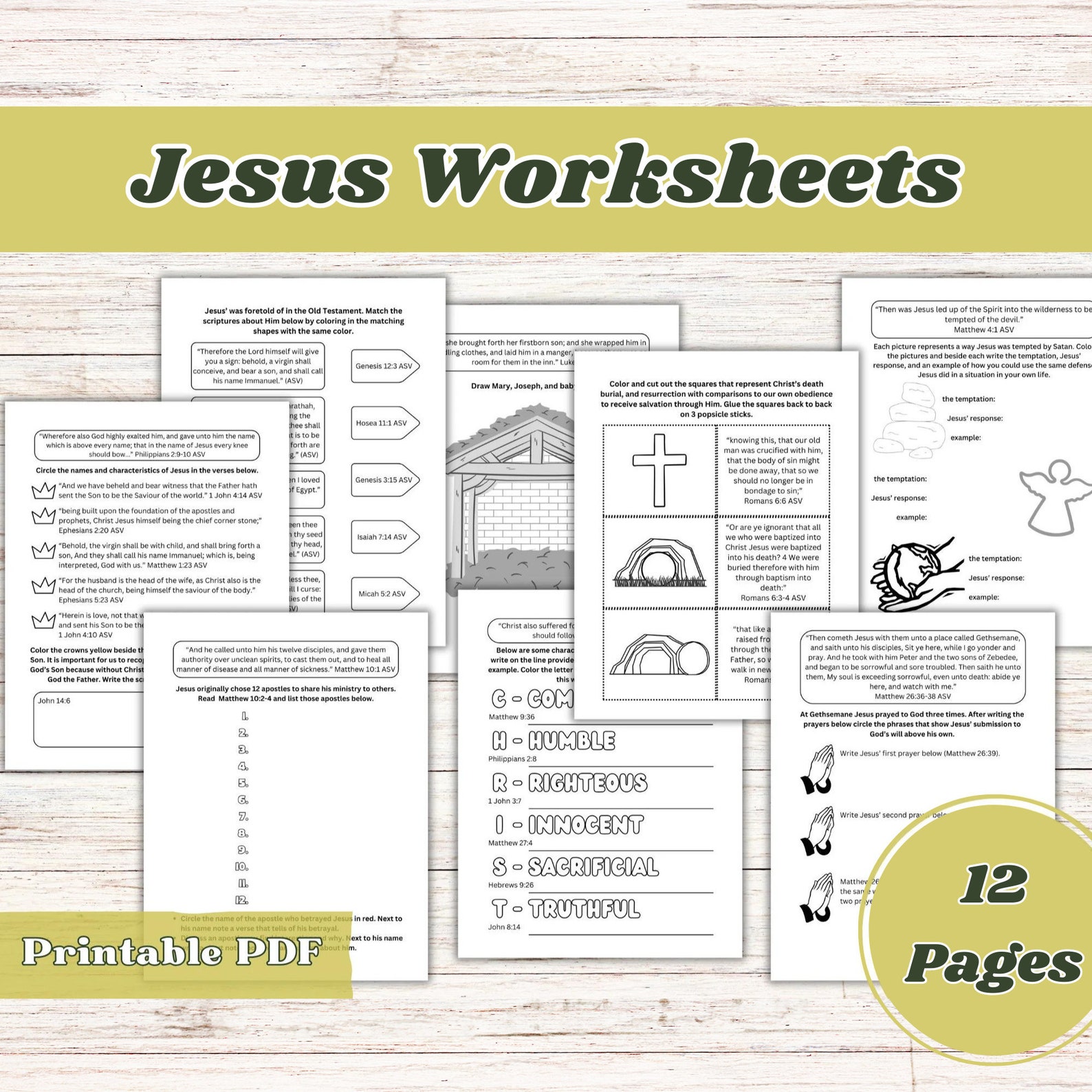 Life of Jesus, Bible Worksheets, Jesus Printable, Kids Bible Study ...