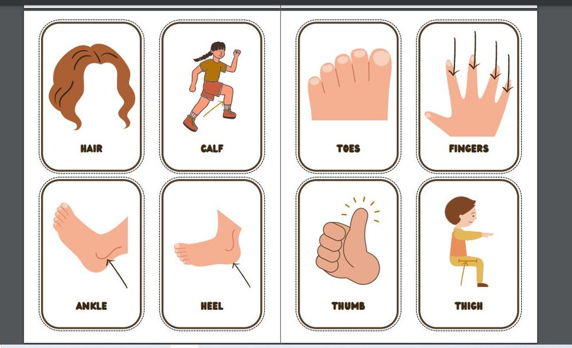 Parts of the Body, Body Parts for Kids, Human Body Preschool, Kids ...