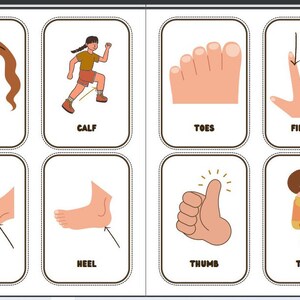 Parts of the Body, Body Parts for Kids, Human Body Preschool, Kids ...