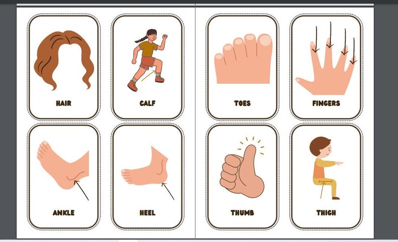 Parts of the Body, Body Parts for Kids, Human Body Preschool, Kids ...