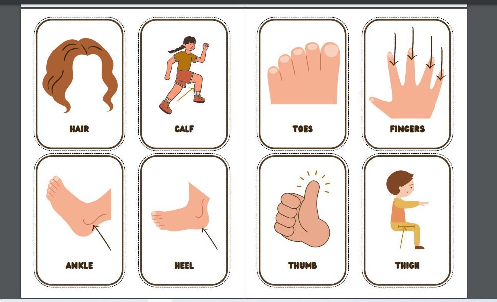 Parts of the Body, Body Parts for Kids, Human Body Preschool, Kids ...