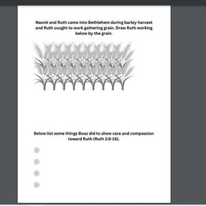 Book of Ruth, Bible Worksheets, Ruth Bible, Kids Bible Study, Ruth ...
