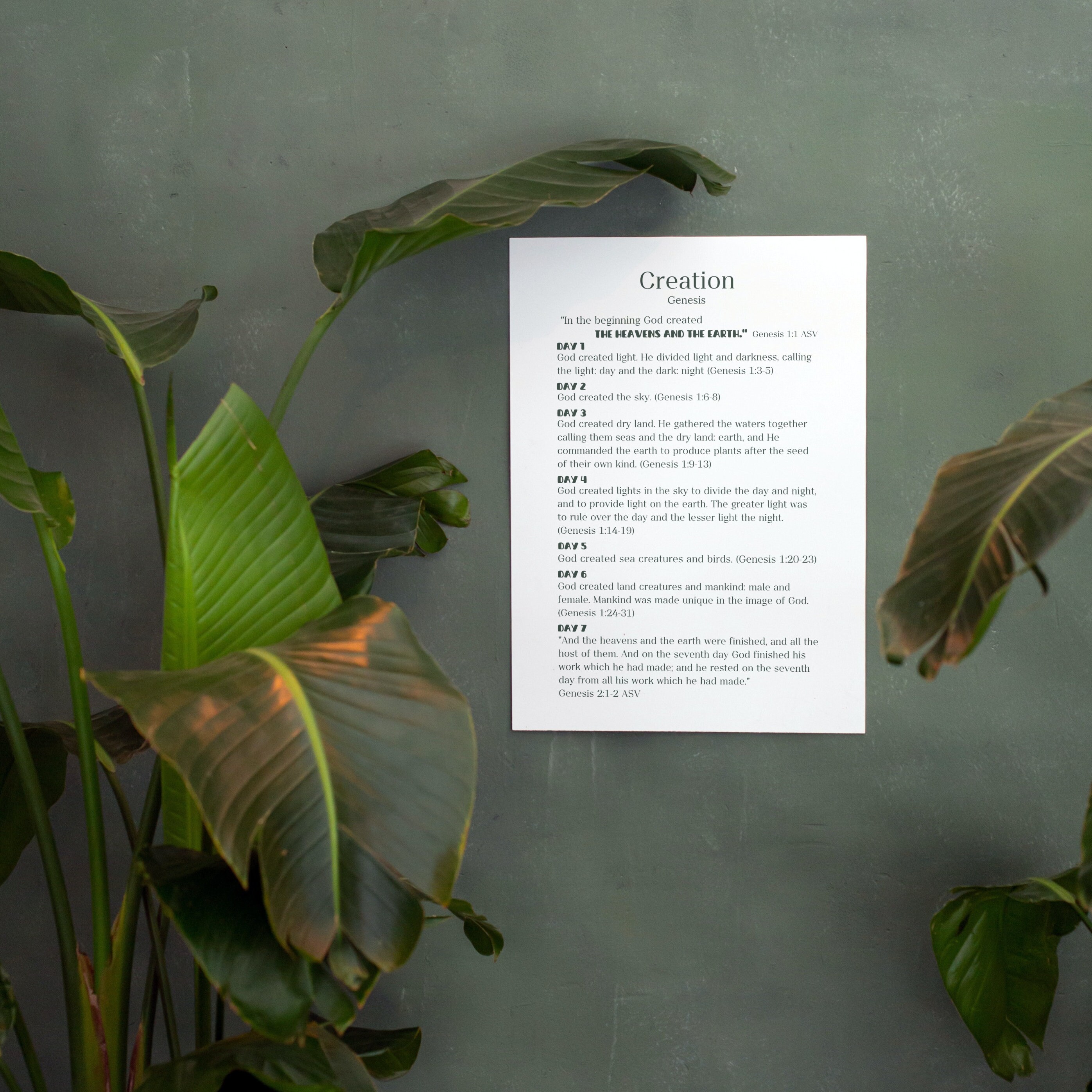 Genesis 1, Creation Poster, Genesis Wall Art, Creation Wall Decor ...