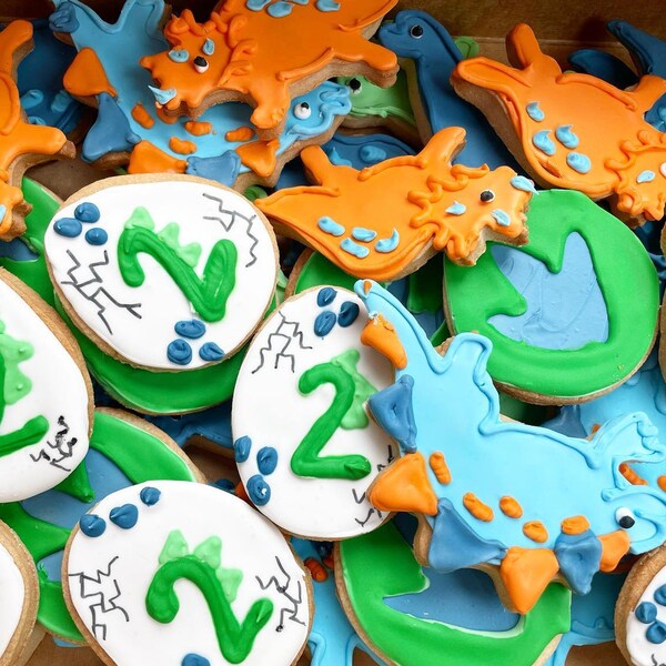 Dinosaur Party Girl Cookies - Etsy